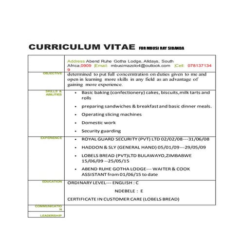 curriculum vitae for Mbusi Ray Sibanda | DOCX