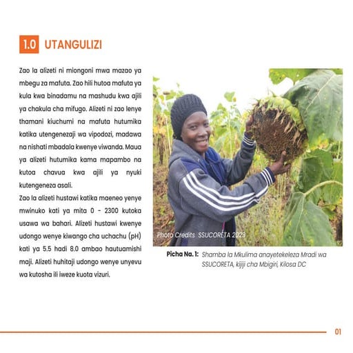 Muongozo wa Kilimo Bora cha Alizeti Tanzania | PDF