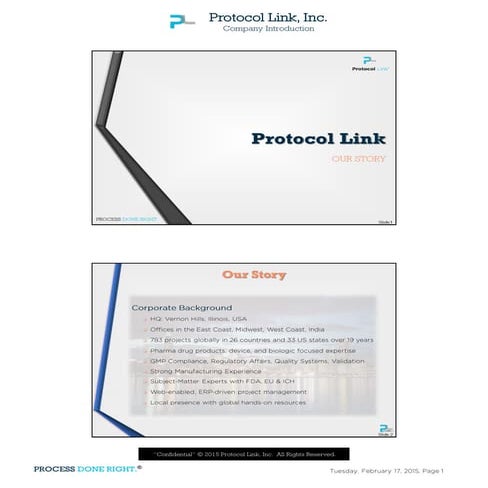 Protocol Link Company Introduction Feb 2015 | PDF