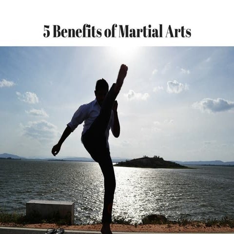 5 Benefits of Martial Arts | PDF