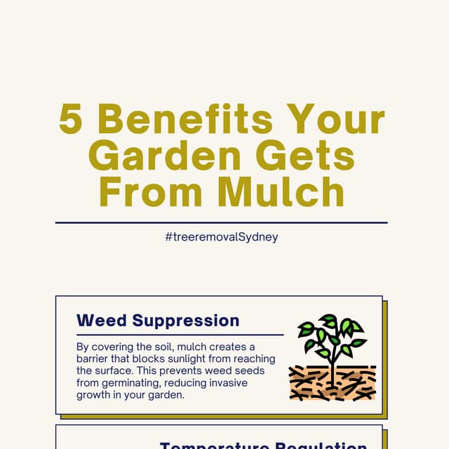 5 Benefits Your Garden Gets From Mulch.pdf