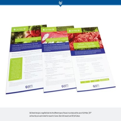 BRTI Sales Collateral | PDF