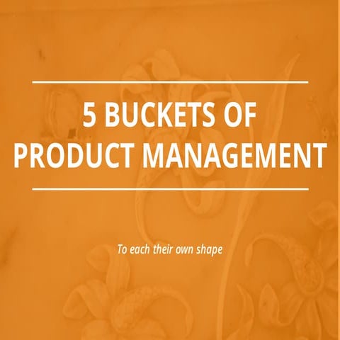Five Buckets Model for Product Management | PDF