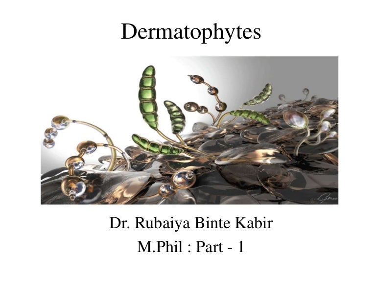 Dermatophytes