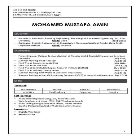 Cv (Mohamed Mustafa Amin) | PDF