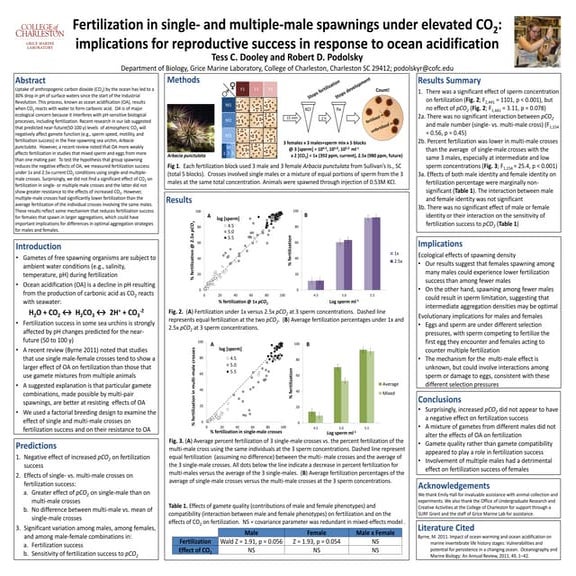 Project Poster BP5 | PPT