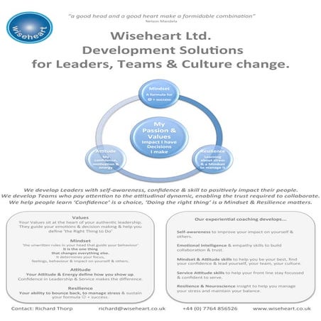 Wiseheart Development Solutions | PDF
