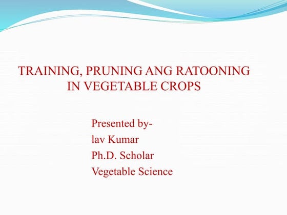 Training in Grapes.pptx