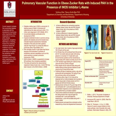 Zucker Rat Thesis Poster | PPT