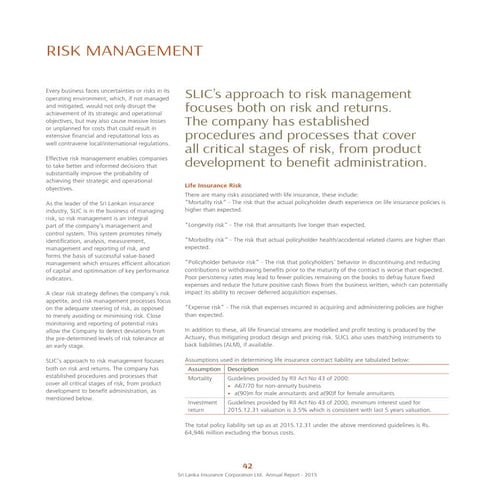 Annual Report Write ups on Risk Management and Audit Committee | PDF