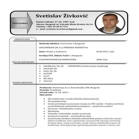 CV_Svetislav Zivkovic | PDF