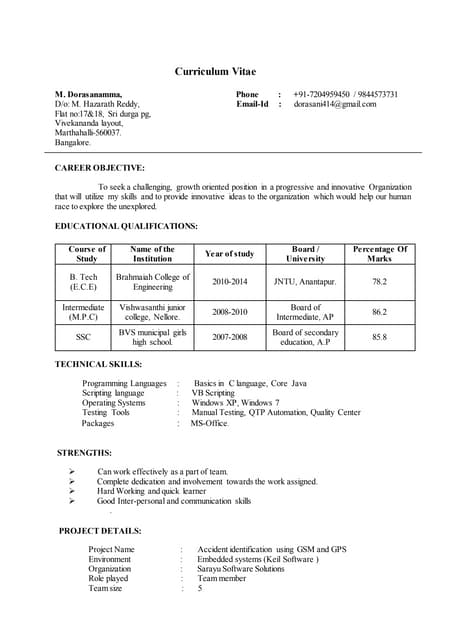 RAJAT Curriculum Vitae | DOC | Technology & Computing