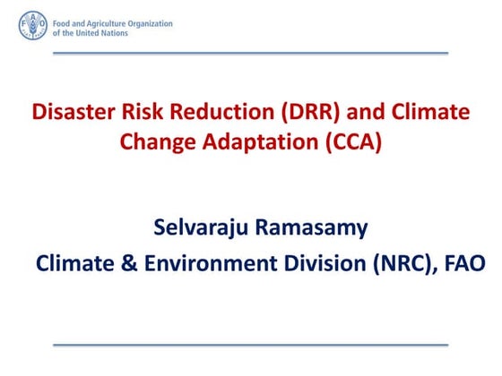 Disaster Risk Reduction | PPT