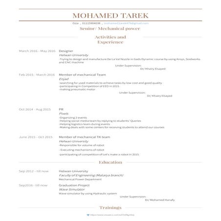 CV Ahmed Elsamman | PDF