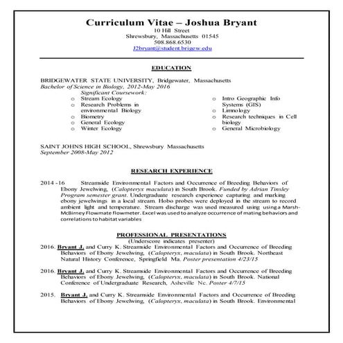 Curriculum vitae LinkedIn | DOCX