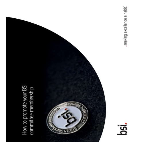 BSI Brand Guidelines p1 | PDF