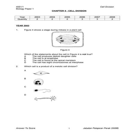 5 cell division | DOC