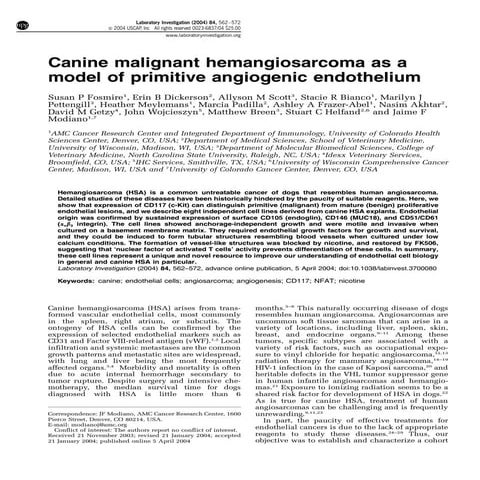 Canine Cancer - Hemangiosarcomas of the Spleen and Liver | PPTX