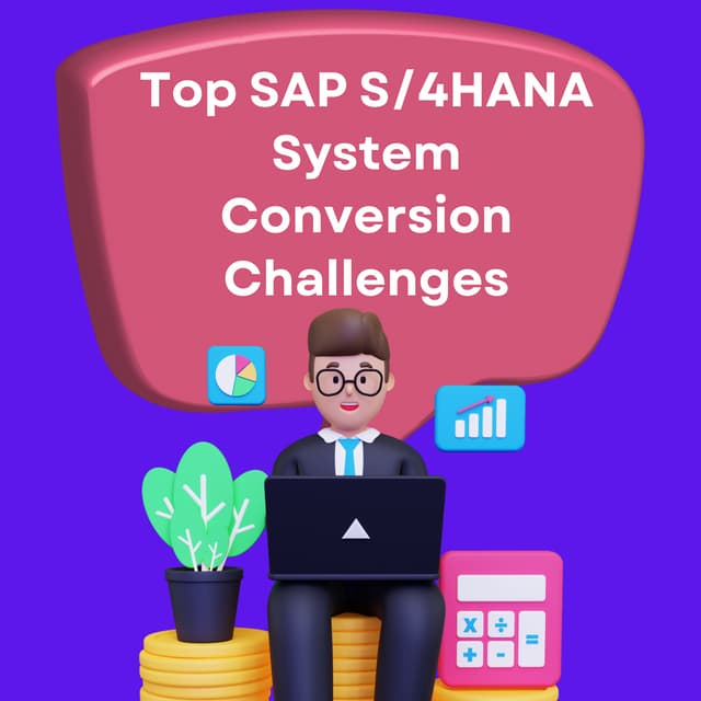 5 Challenges in system conversion from SAP ECC to SAP S4HANA | PDF