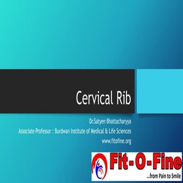 Cervical Rib | PPTX | Death, Injury, or Military Conflict | Sensitive ...