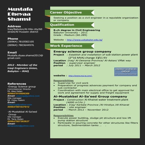 Mustafa - Resume | PDF