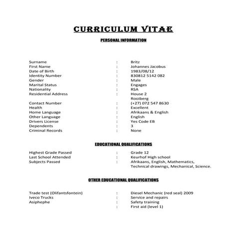 JOHAN BRITZ CV. | DOC