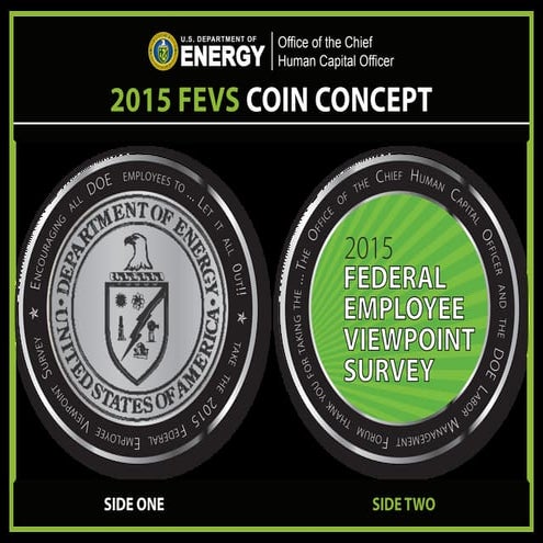 FEVS Coin | PDF