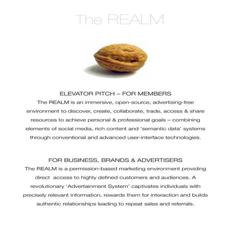 REALM Elevator Pitch | PDF
