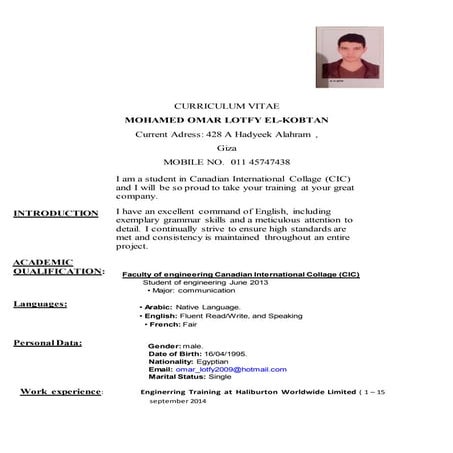 Mohamed cv | PDF