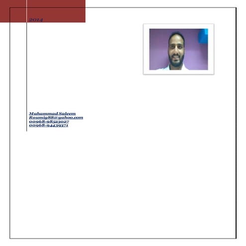 saleem's cv (2) | DOCX