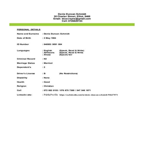 Denis Duncan Schmidt cv | DOCX