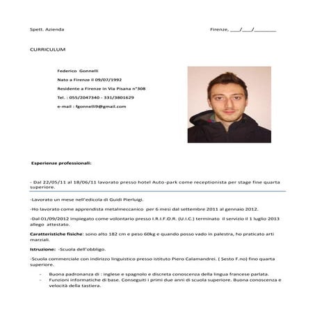 CURRICULUM FEDE NUOVO | PDF