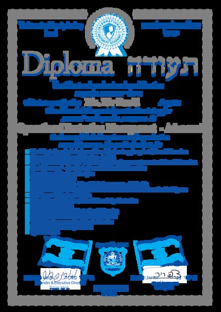 Chief Nir Diploma_2008 | PDF