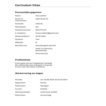Curriculum Vitae D.M..Ebbers 2013M12 | PDF