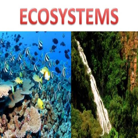 5 ecosystems (5º) | PPTX