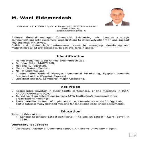 Wael Eldemerdash CV - Updated1 | PDF