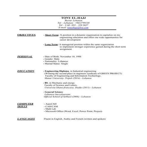 Tony CV | PDF | Civil Engineering Industry | Industries