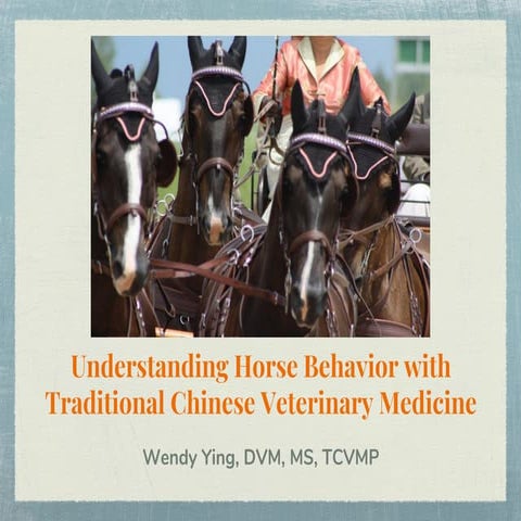Train your Horse Holistically - 5 Elements for Equestrians | PDF