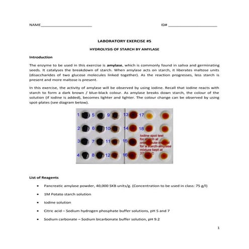 Investigate the effect of temperature on amylase activity | DOCX