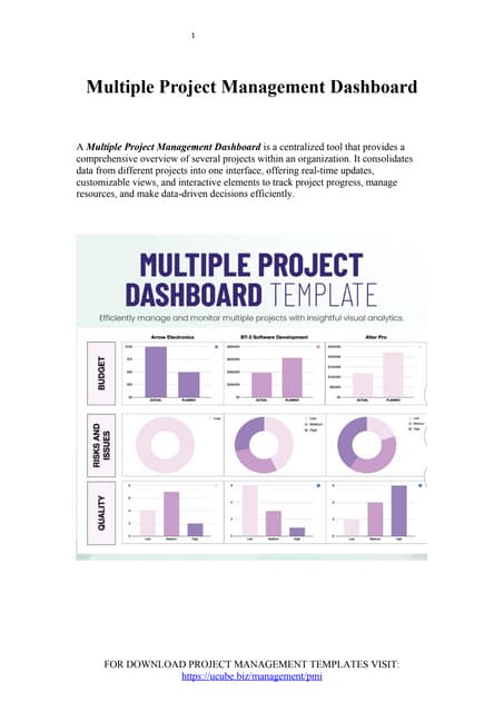 Project Dashboard Template - Guide 2024.docx