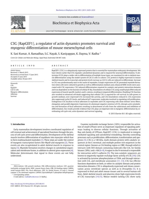 BMES poster 2013 | PPT