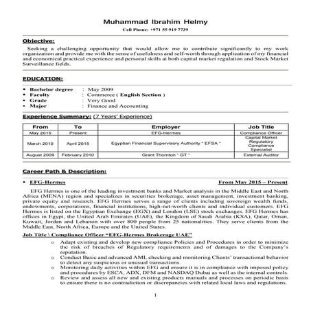 Muhamad Ibrahim - CV | PDF