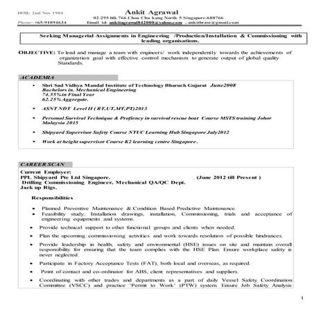 ANKIT CV | PDF