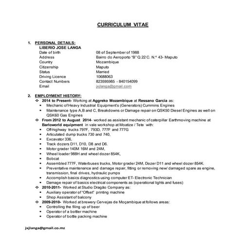 English cv | PDF