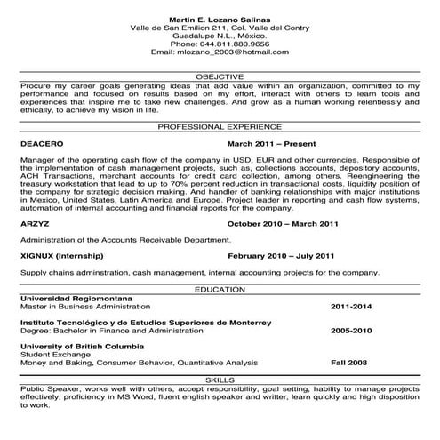 CV English Version Martín E | PDF