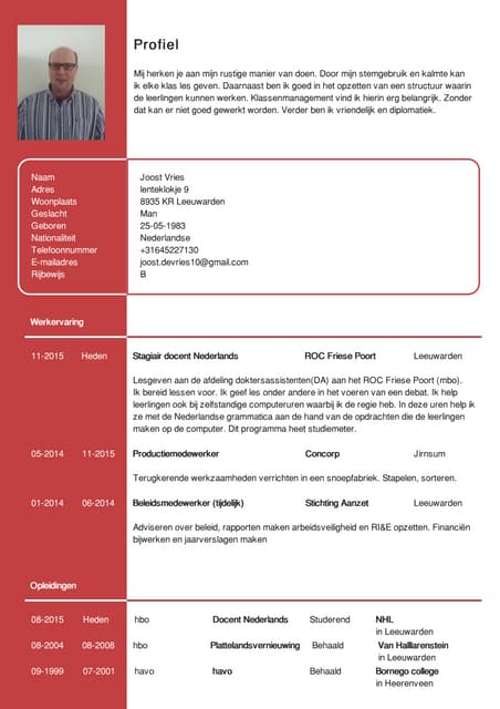 http___cv-voorbeeld | PDF