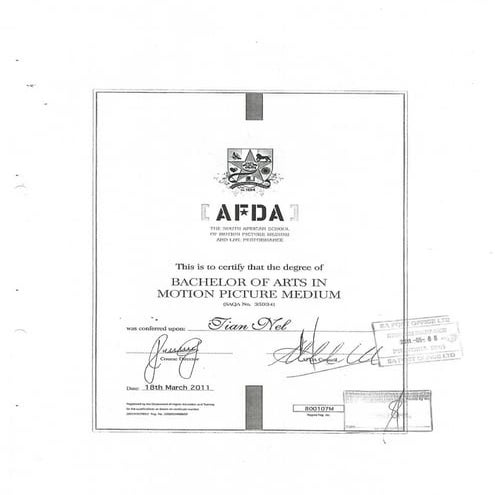 Tian Qual AFDA Degree | PDF