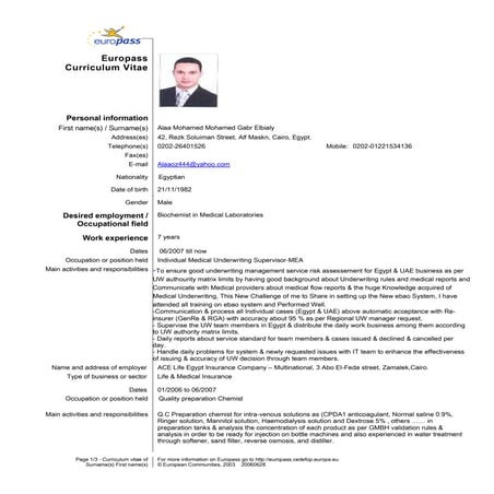 Alaa CV Europe | PDF