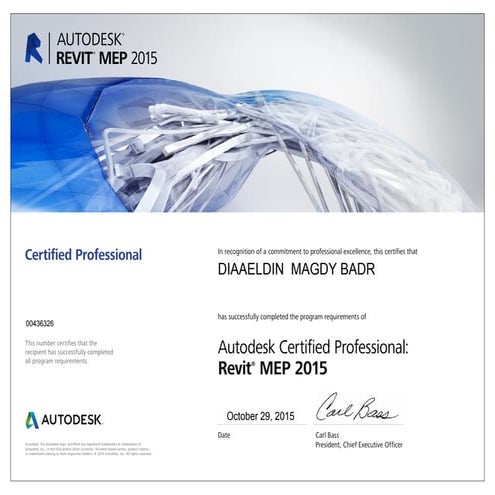 Revit professional Certificate | PDF