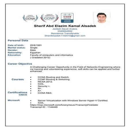 Mostafa CV | PDF